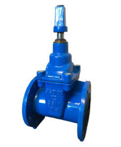 Resilient Seated Flanged Gate Valve - Ductile Iron - Automated ...
